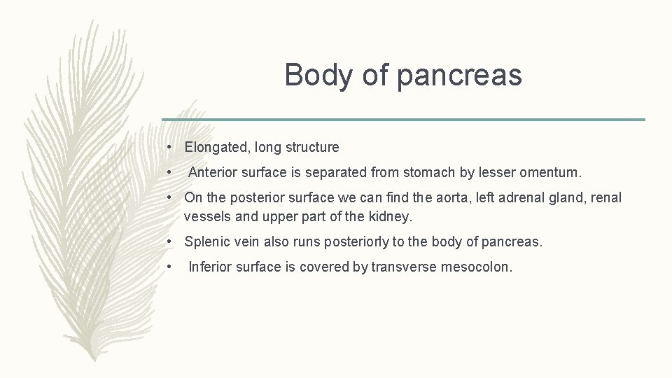 Pancreas Anatomy Acute Pancreatitis Chronic Pancreatitis Pancreatic ...
