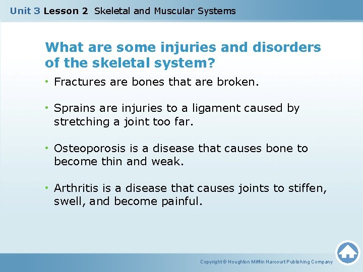 Unit 3 Lesson 2 Skeletal and Muscular Systems