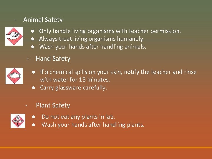 Introduction to Biology Biology comes from two Greek