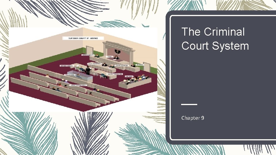 The Criminal Court System Chapter 9 The Criminal