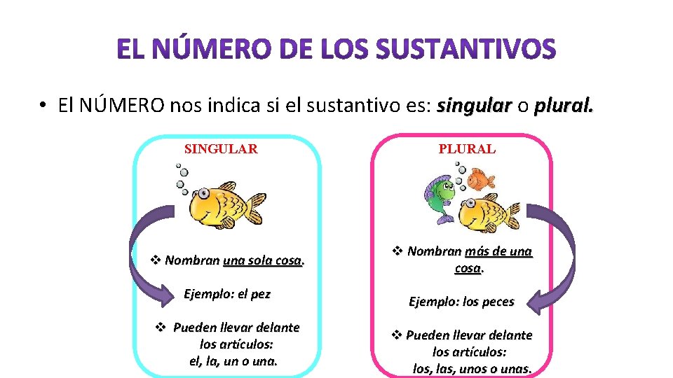 Identificar gnero y nmero en los sustantivos Ubcate