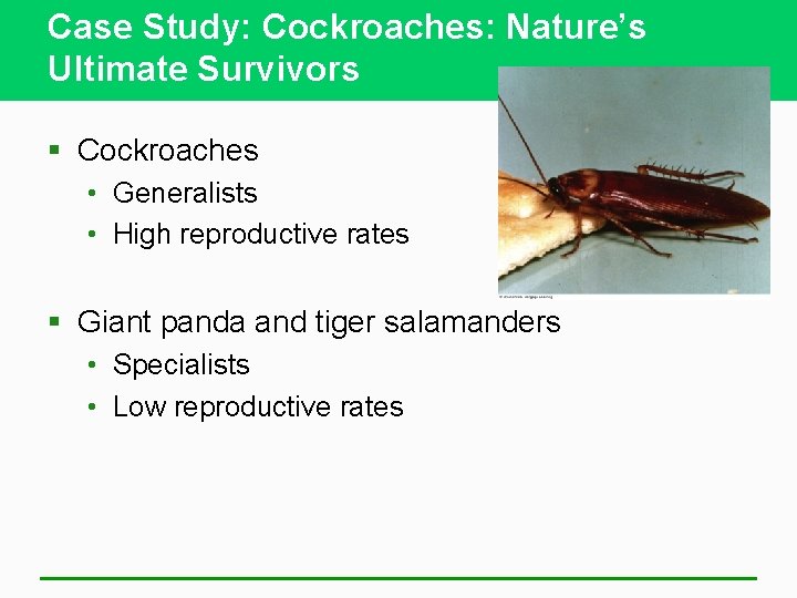 Biodiversity and Evolution Chapter 4 Core Case Study