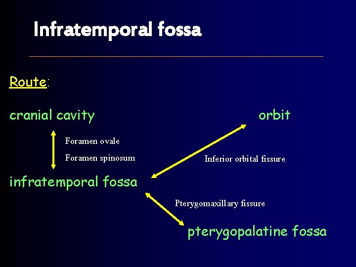 Temporal fossa Infratemporal fossa Muscles of mastication Kritchai