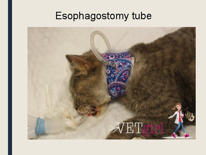 Liver Diseases High regenerative capacity damage must be