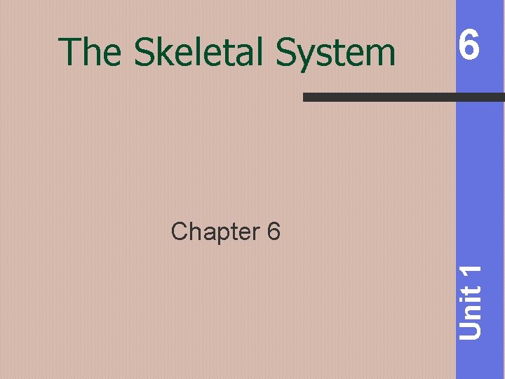 The Skeletal System 6 Unit 1 Chapter 6