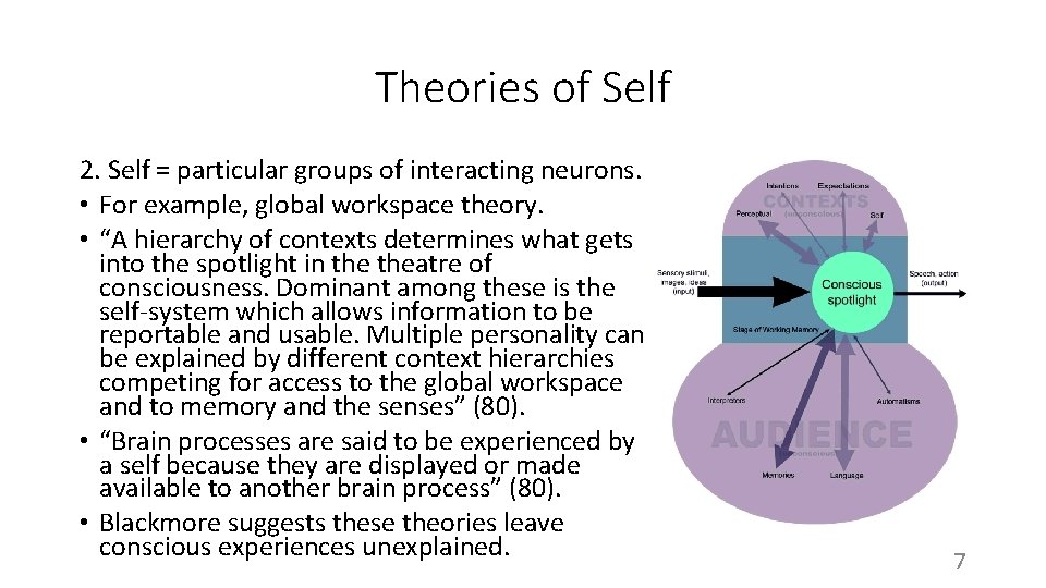 Lecture 12 The Self Susan Blackmore The Self