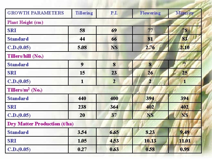 Efficient Resource Utilization in SRI Method of Rice