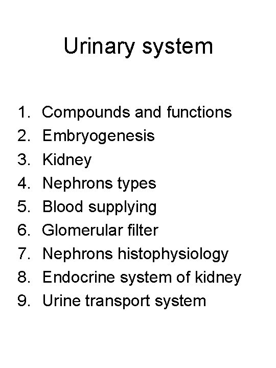 Urinary system 1 2 3 4 5 6