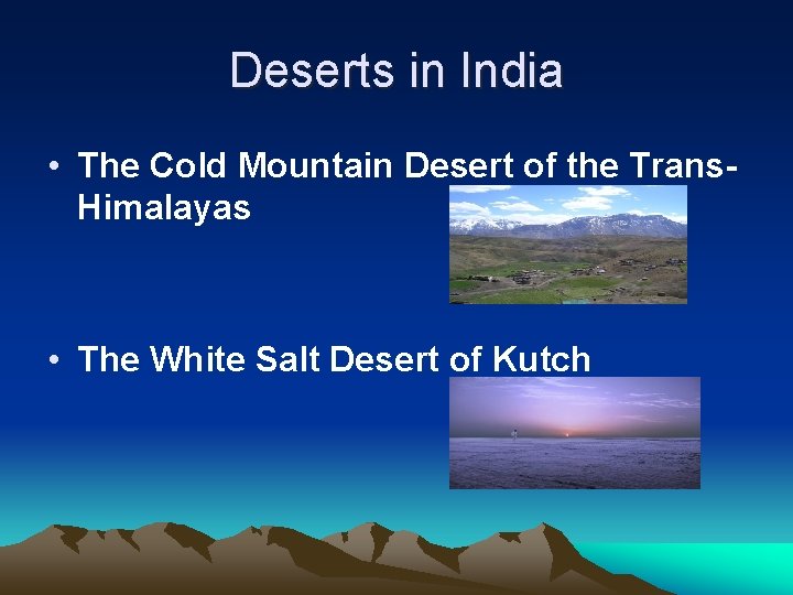 Desert Animals Deserts in India The Cold Mountain