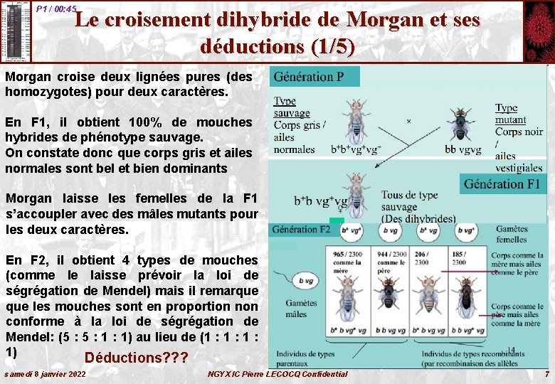 P 1 00 08 Les Travaux de Morgan