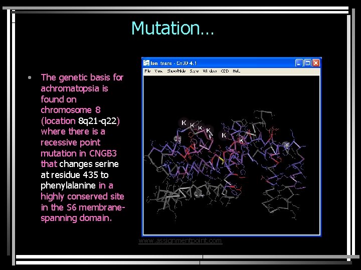 Lecture on Color Blindness www assignmentpoint com The
