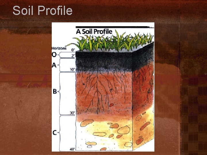 Soils and their Preservation Section 14 What is
