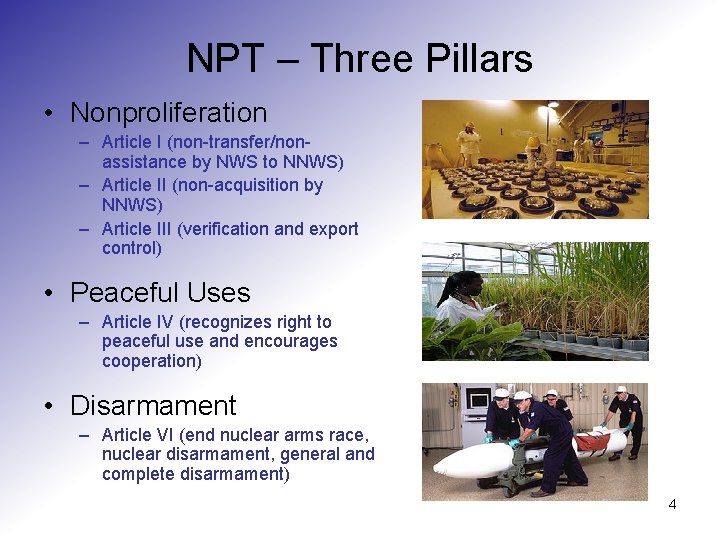 Nuclear NonProliferation Treaty Ambassador Adam M Scheinman Department