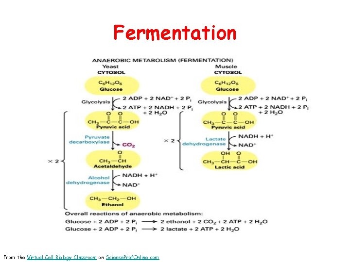 About Science Prof Online Power Point Resources Science