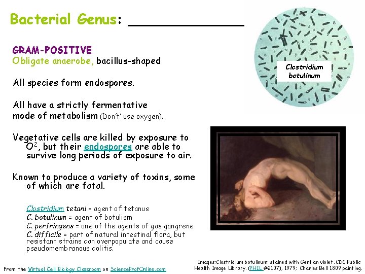 About Science Prof Online Power Point Resources Science