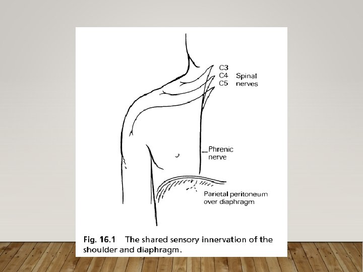 ACUTE ABDOMINAL PAIN ACUTE ABDOMEN Challenge to Surgeons