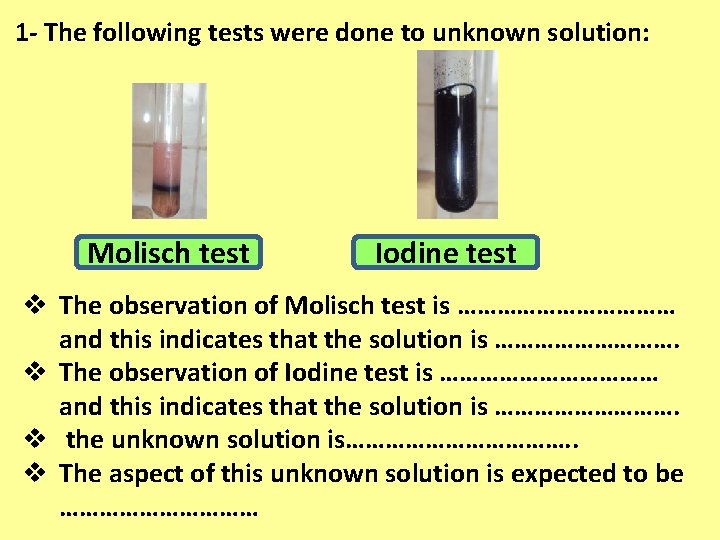 Revision on practical course of Medical Biochemistry for