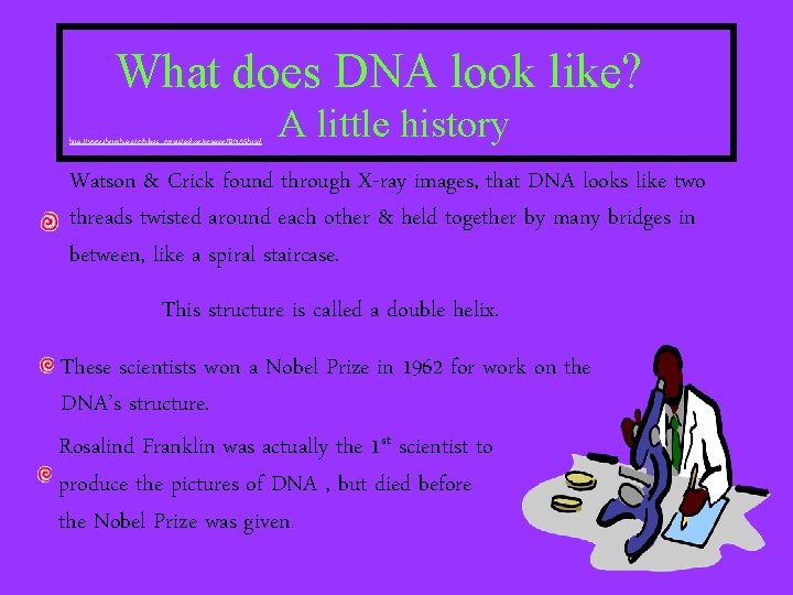 THE INSTRUCTION MANUEL FOR BUILDING A BODY DNA