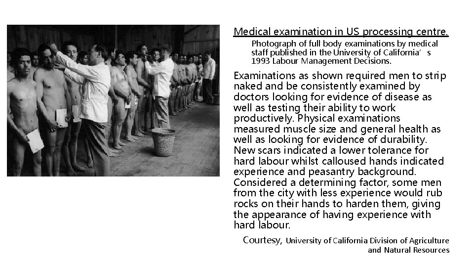 Introduction to the Bracero Program a guest worker