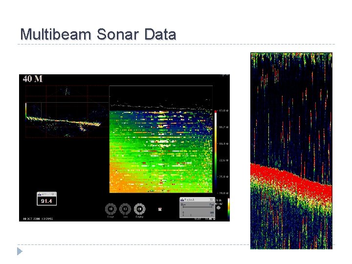 Anne S Pierce Picture by Sheilagh OLeary Field