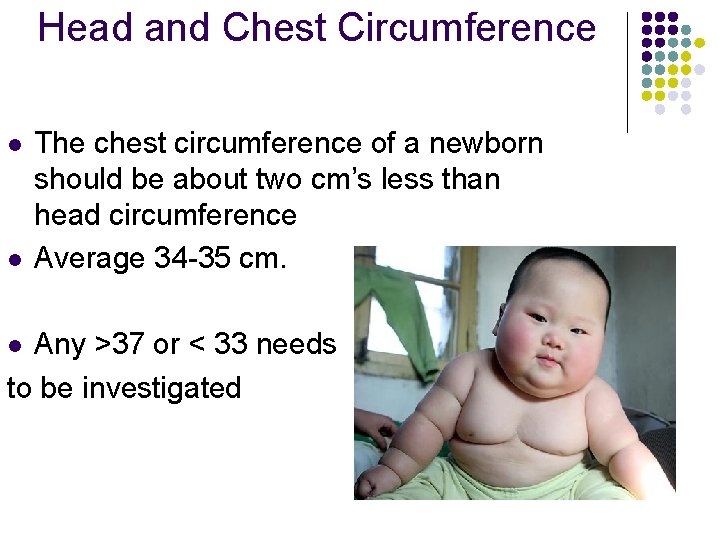 Objectives l Identify key physical differences between the