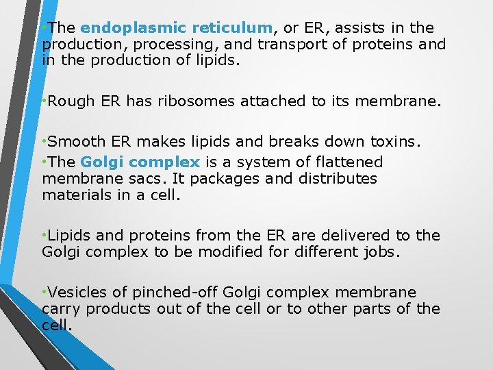 Unit 2 Evolution Lesson 1 Genetic Change and