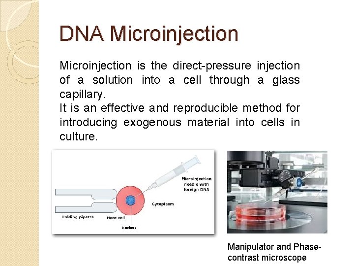 Gene therapy and viral vectors Lecture 10 Physical