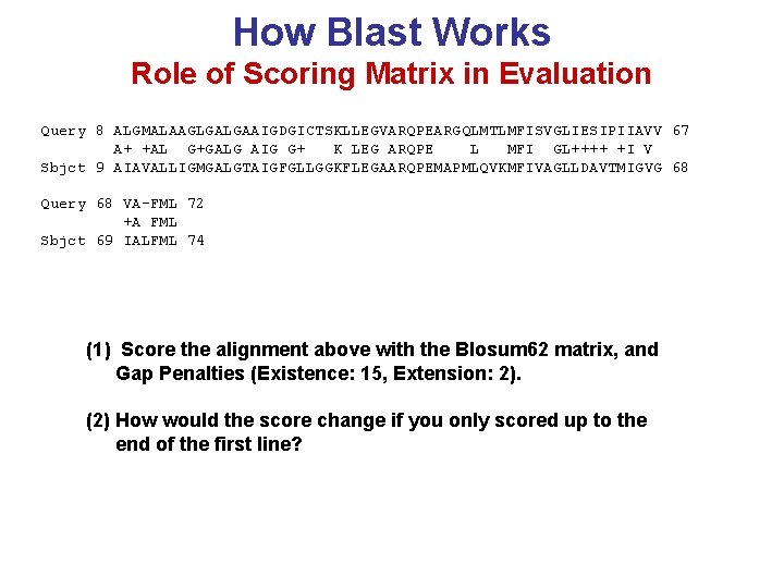 How Blast Works Role of Word Size T