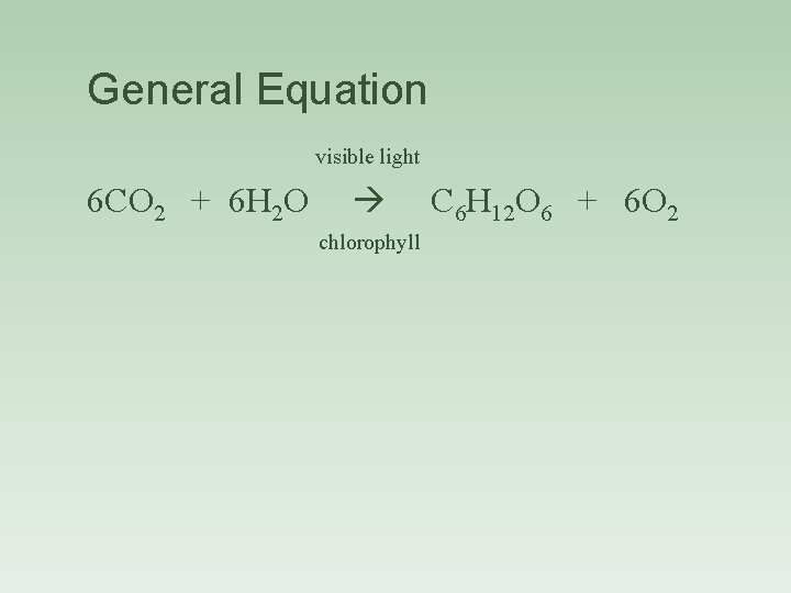 Photosynthesis Background SBI 4 U Purpose To synthesize