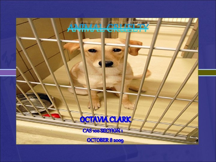 ANIMAL CRUELTY OCTAVIA CLARK CAS 100 SECTION 1