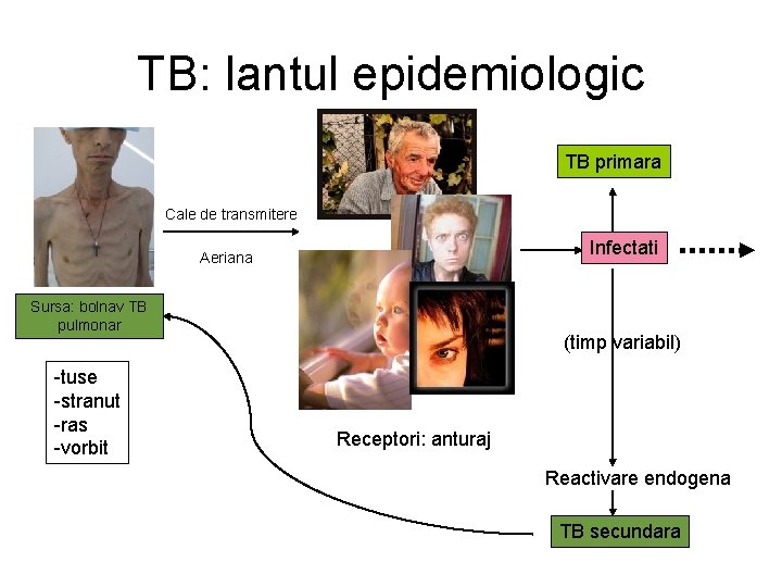 Diagnosticul tuberculozei Dr Irina Strambu Sef Lucrari Diagnosticul