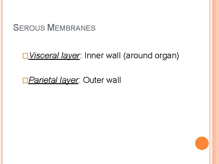 SKIN AND BODY MEMBRANES WARM UP What is