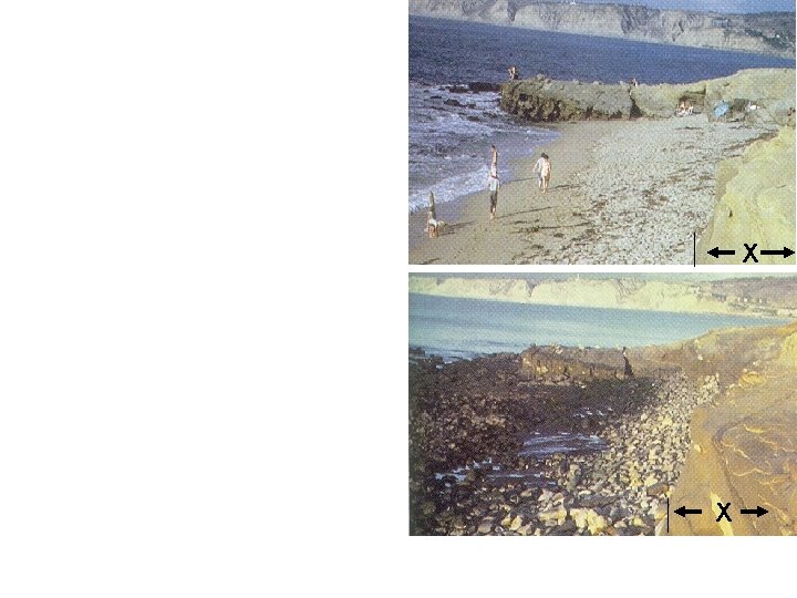 Winter Depth Seawater Temperature Summer Beach profile Depth