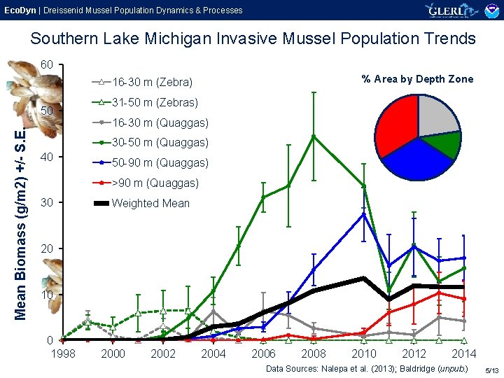 Dreissenid Mussel Population Dynamics Processes Ashley Baldridge Ecosystem