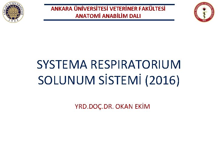 ANKARA NVERSTES VETERNER FAKLTES ANATOM ANABLM DALI SYSTEMA