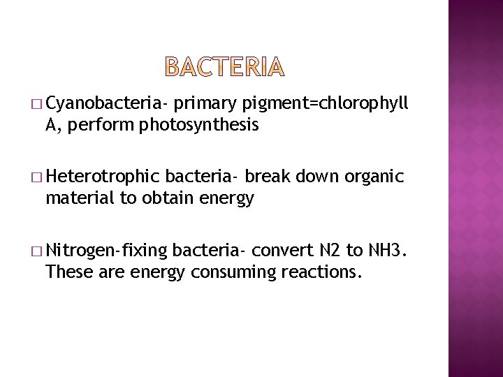 What do they make up bacteria and archaea