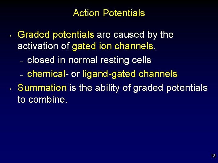 The Nervous System Chapter 45 Outline Neuron Organization