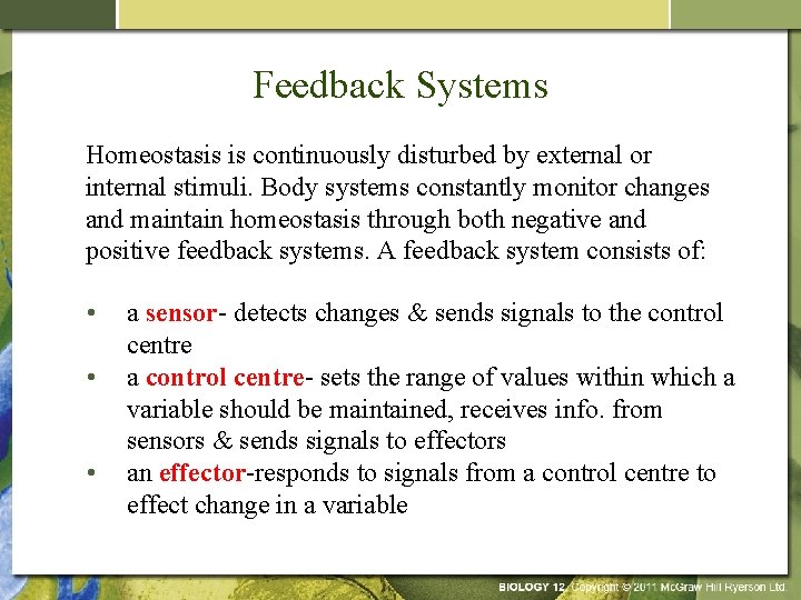 8 1 Human Body Systems and Homeostasis Organization