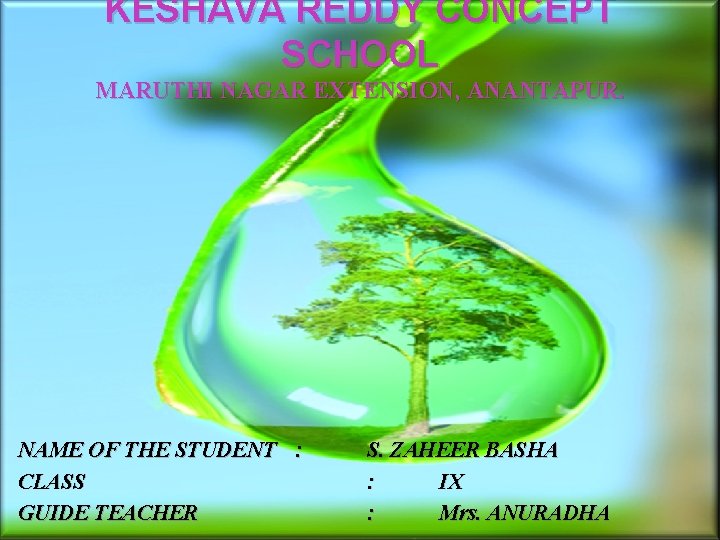 KESHAVA REDDY CONCEPT SCHOOL MARUTHI NAGAR EXTENSION ANANTAPUR