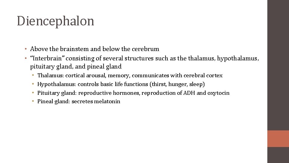 Nervous System Heidi Bien AP Biology Functions of