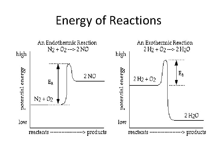 Biochemistry Ch 6 Biology A The Atoms Elements