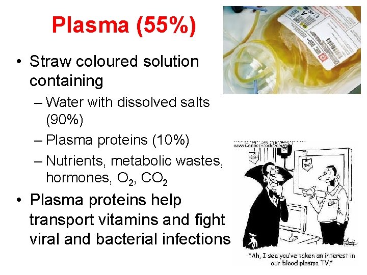 The Blood How many litres of blood do
