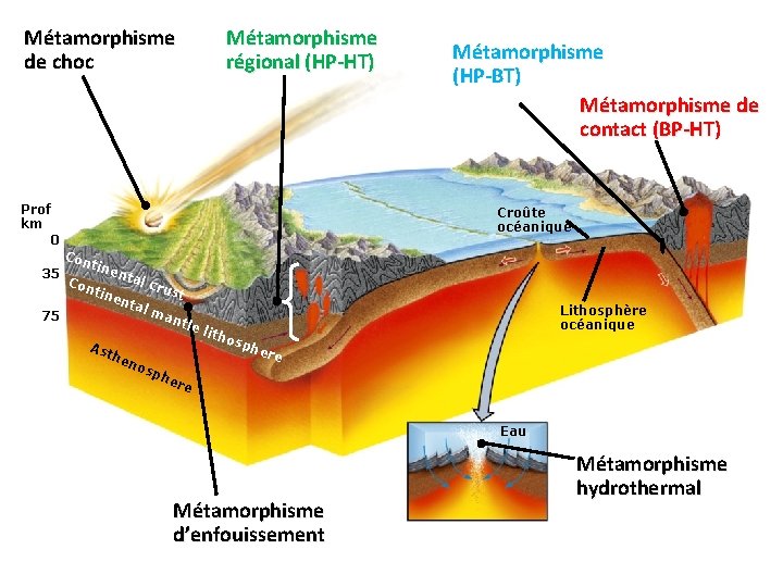Les facteurs du mtamorphisme Les facteurs de transformation