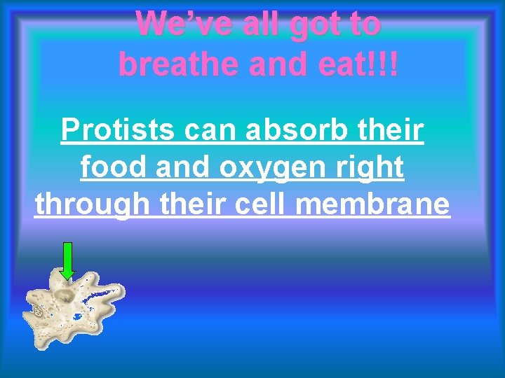 The Magical world of Protists Most are Unicellular