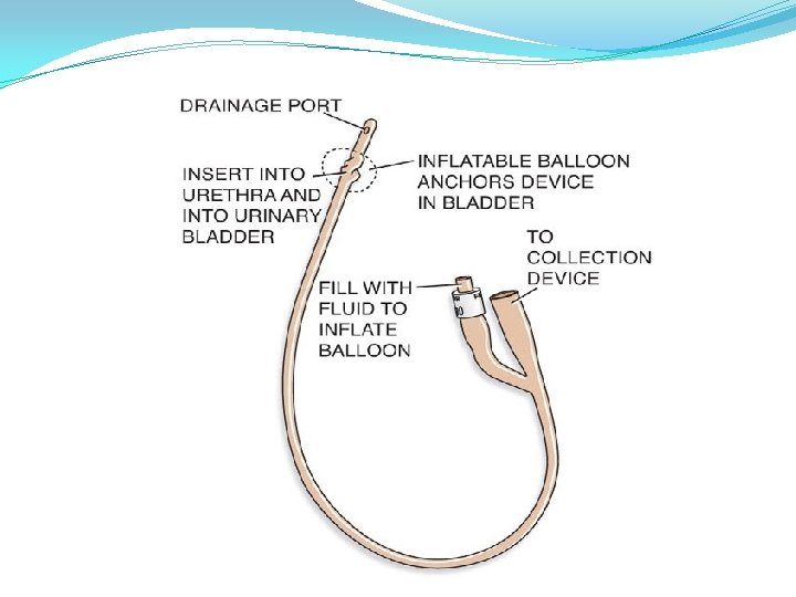 Dr Maha AlSedik Pain Pathophysiology Pain may be