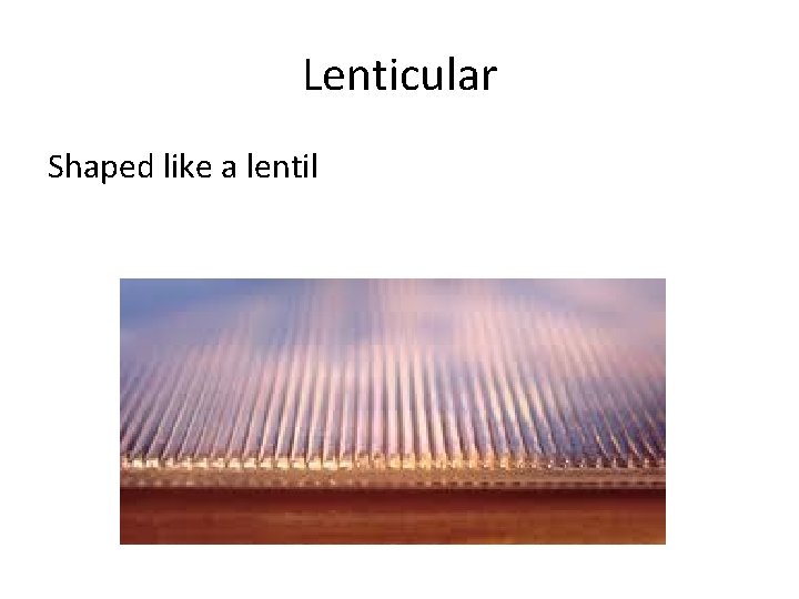 Cecilia Aceves Concur Be of the same opinion