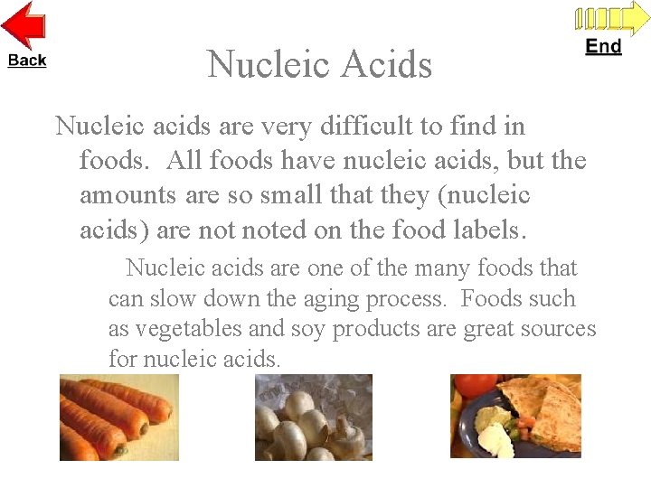 Nucleic Acids Structure Function In Your Diet Genes