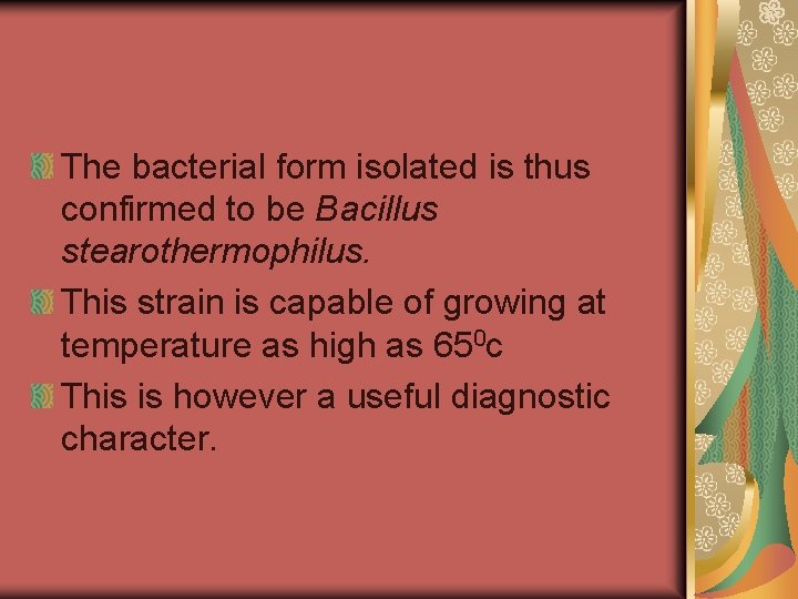 Isolation of a bacterial species in the insecticide