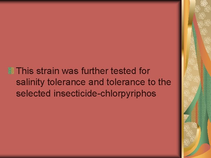 Isolation of a bacterial species in the insecticide