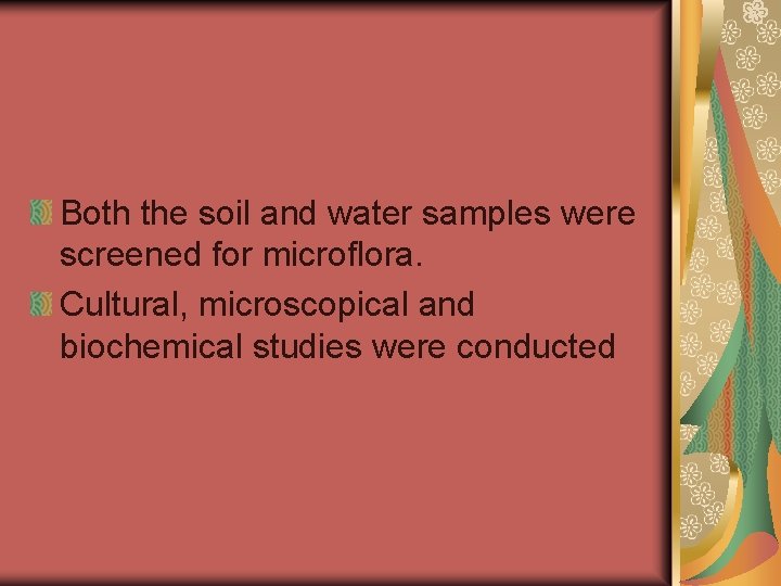Isolation of a bacterial species in the insecticide